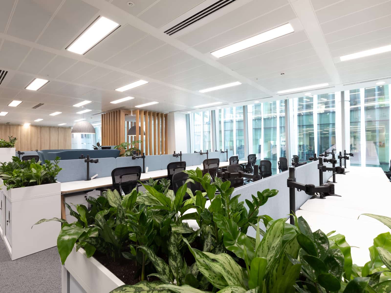 How light impacts employee effectiveness and company wellbeing - Morgan ...
